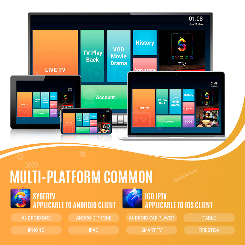 IPTV Subscription for 2 years sybertv iptv set top box subscription ...